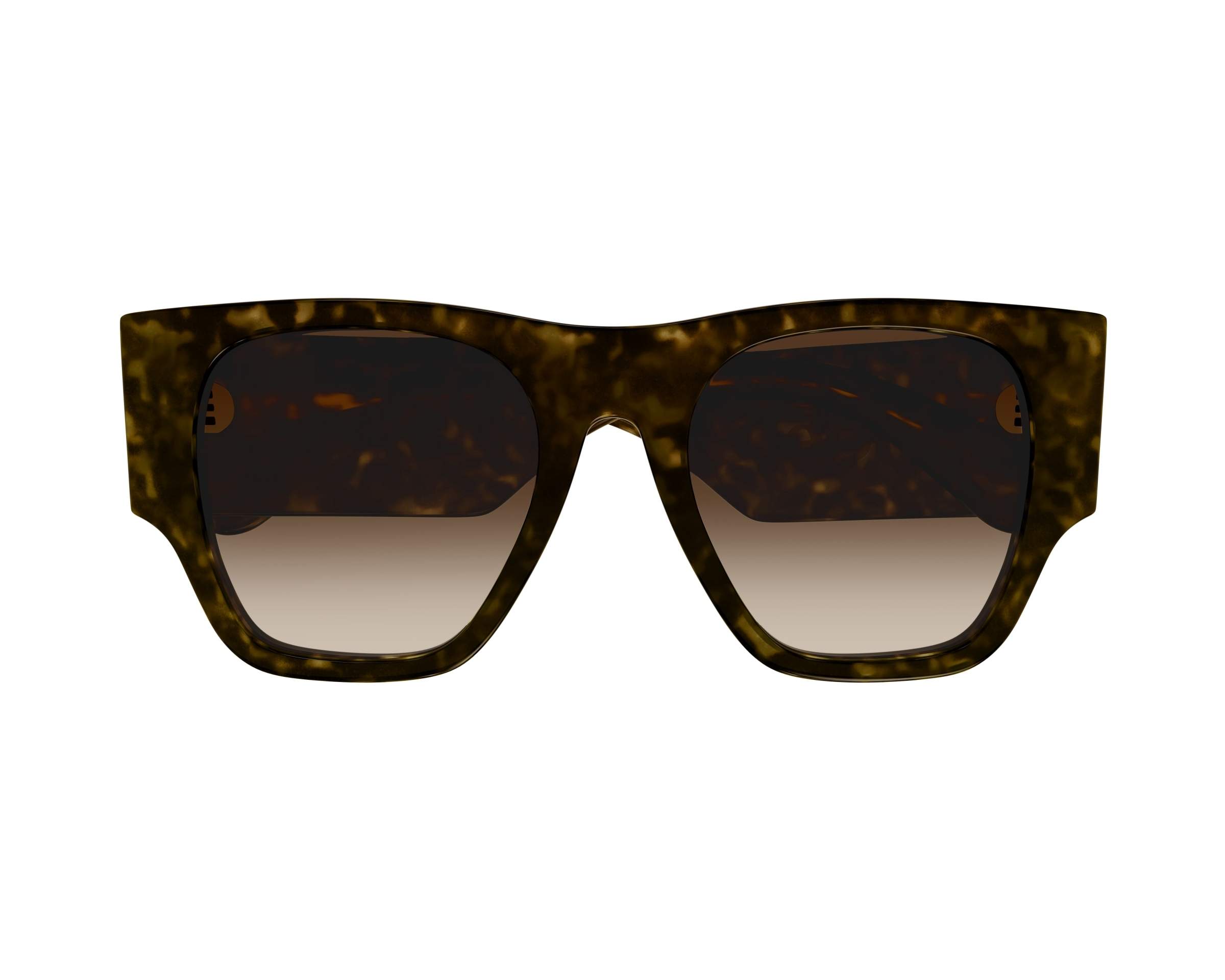 Chloe Sunglasses CH0233S 002