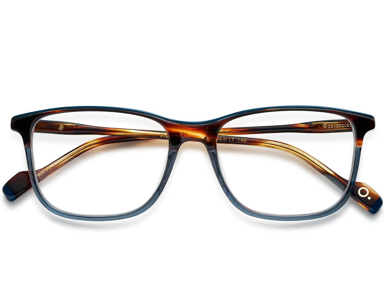 Etnia Barcelona Glasses VICTOR HVGR