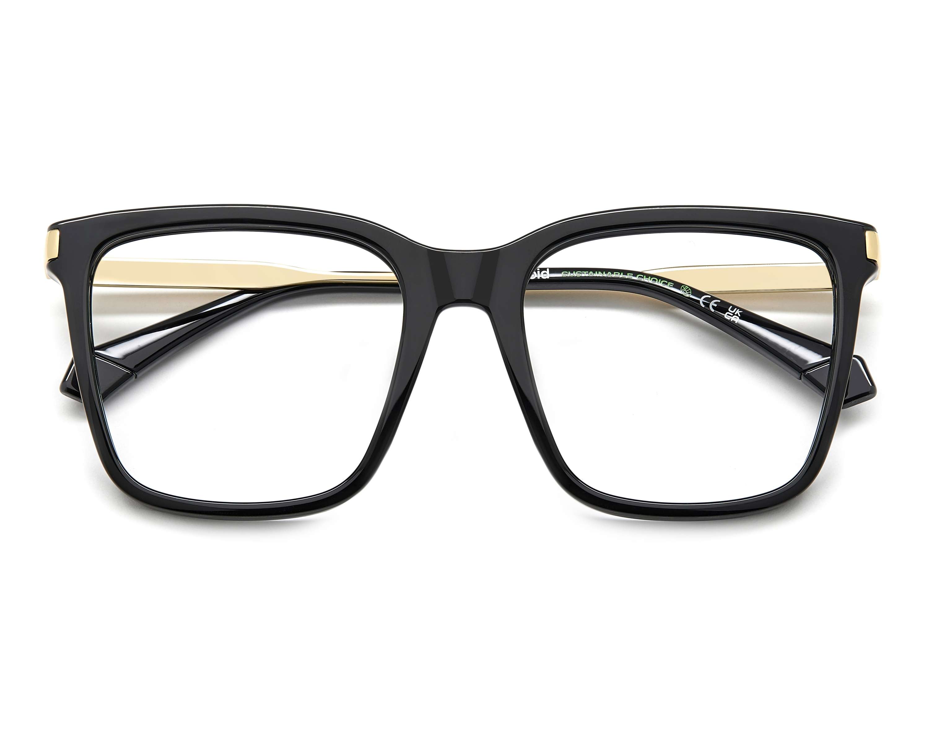 Polaroid Glasses PLD-D528 807
