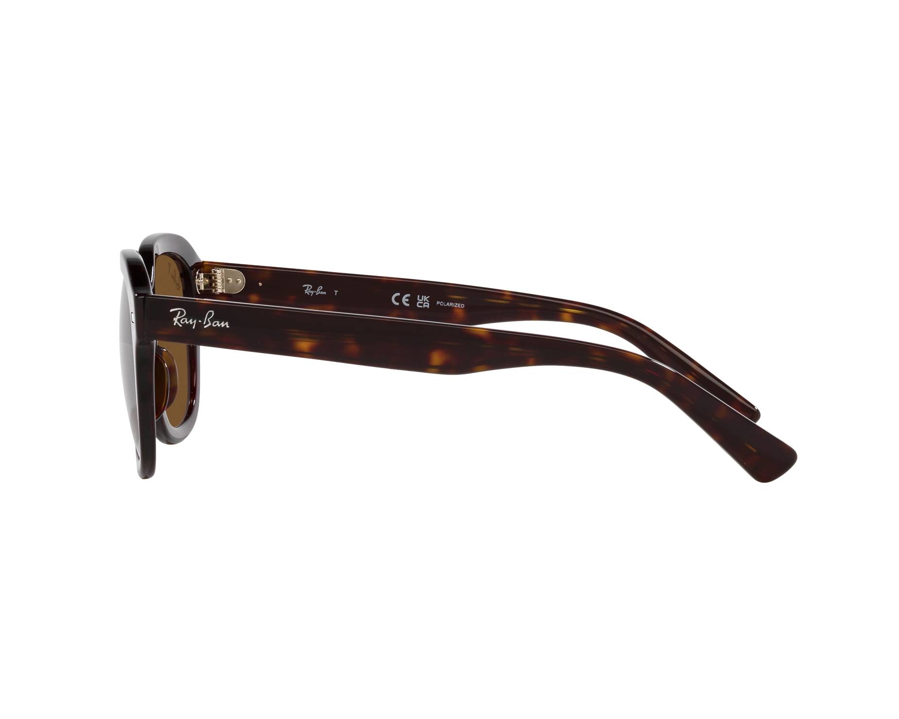 Ray-Ban Sunglasses Erik RB4398 902/57