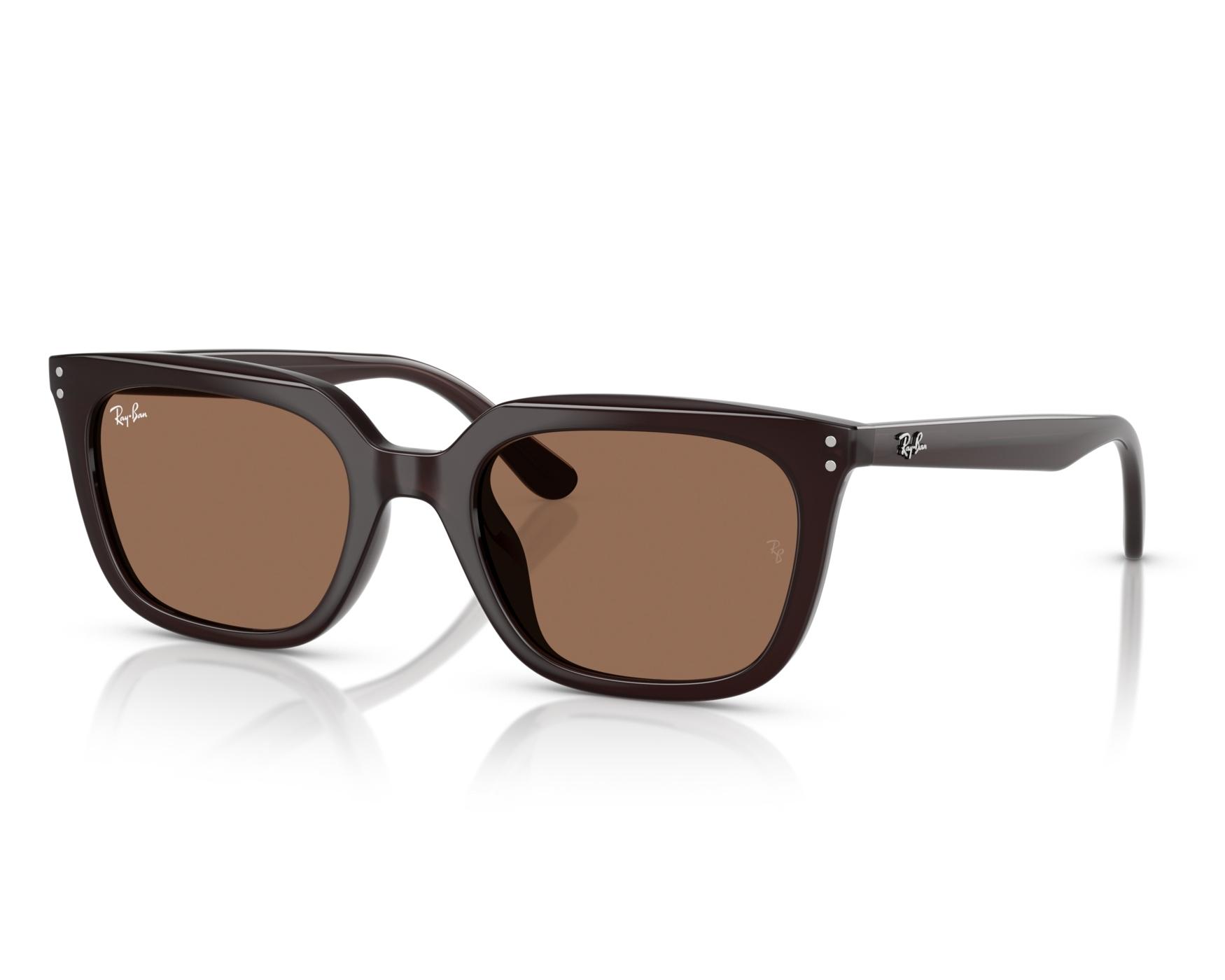 Ray-Ban Sunglasses RB4439D 623173