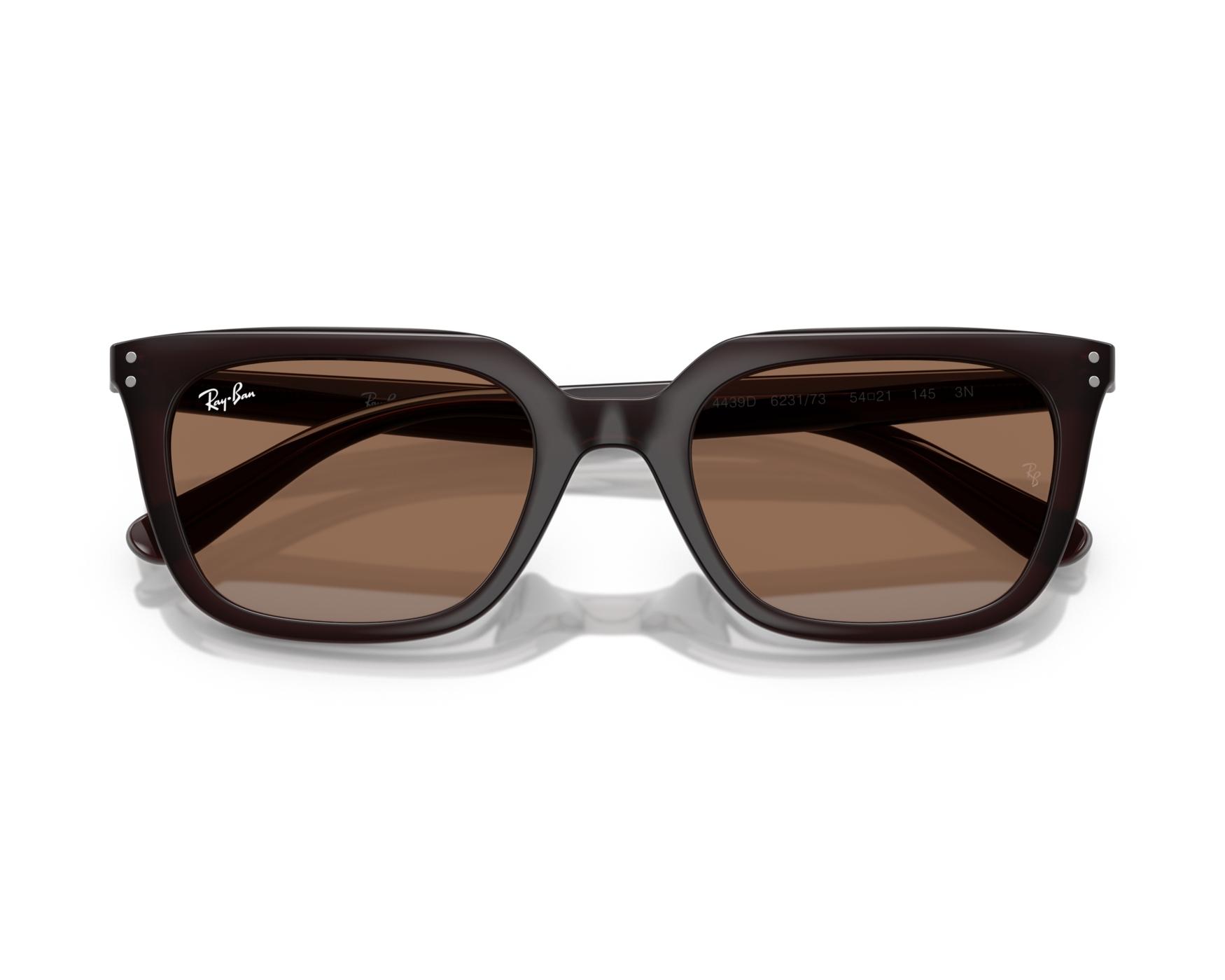 Ray-Ban Sunglasses RB4439D 623173