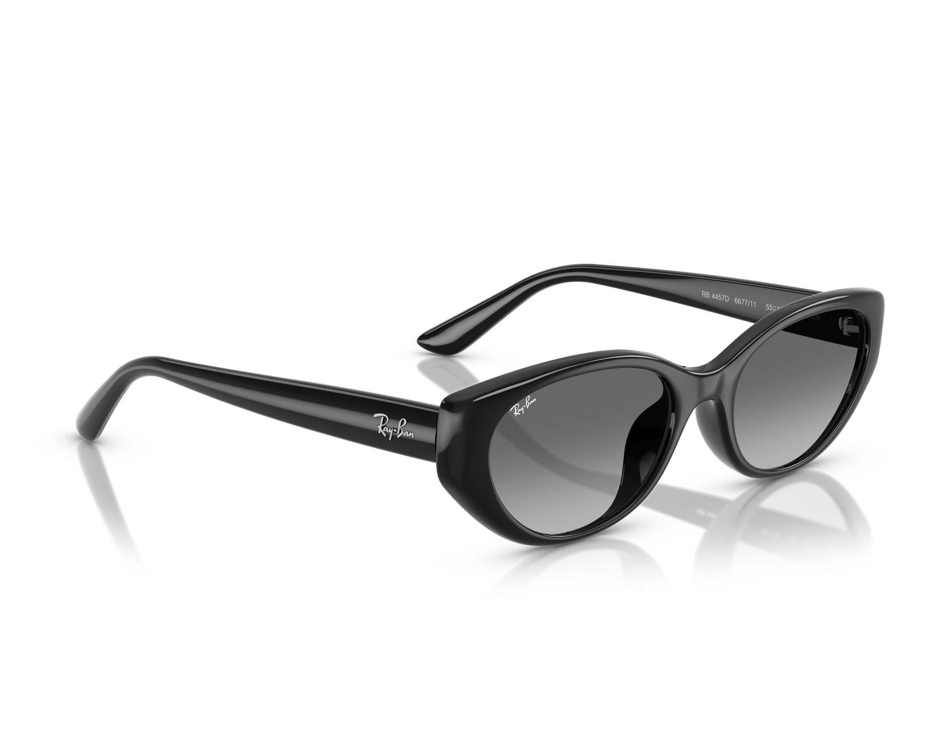 Ray-Ban Sunglasses RB4457D 667711