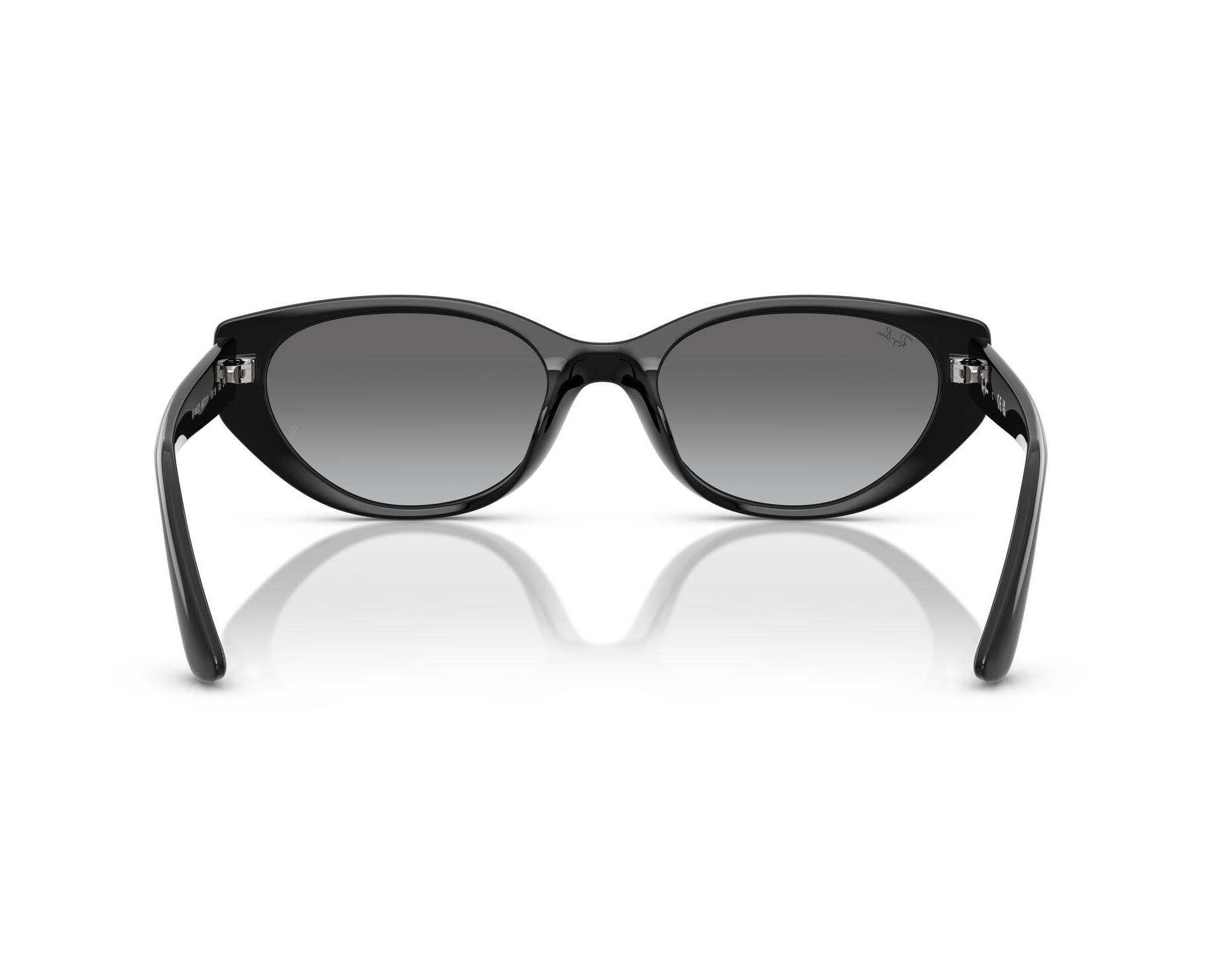 Ray-Ban Sunglasses RB4457D 667711