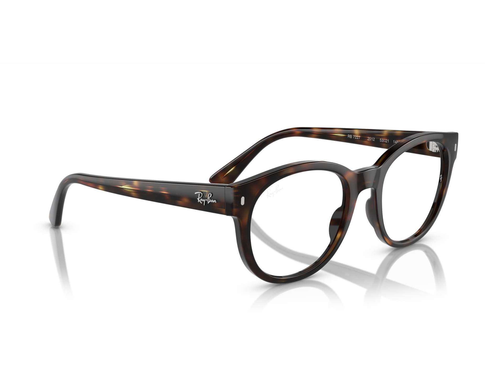 Ray-Ban Glasses RX7227 2012