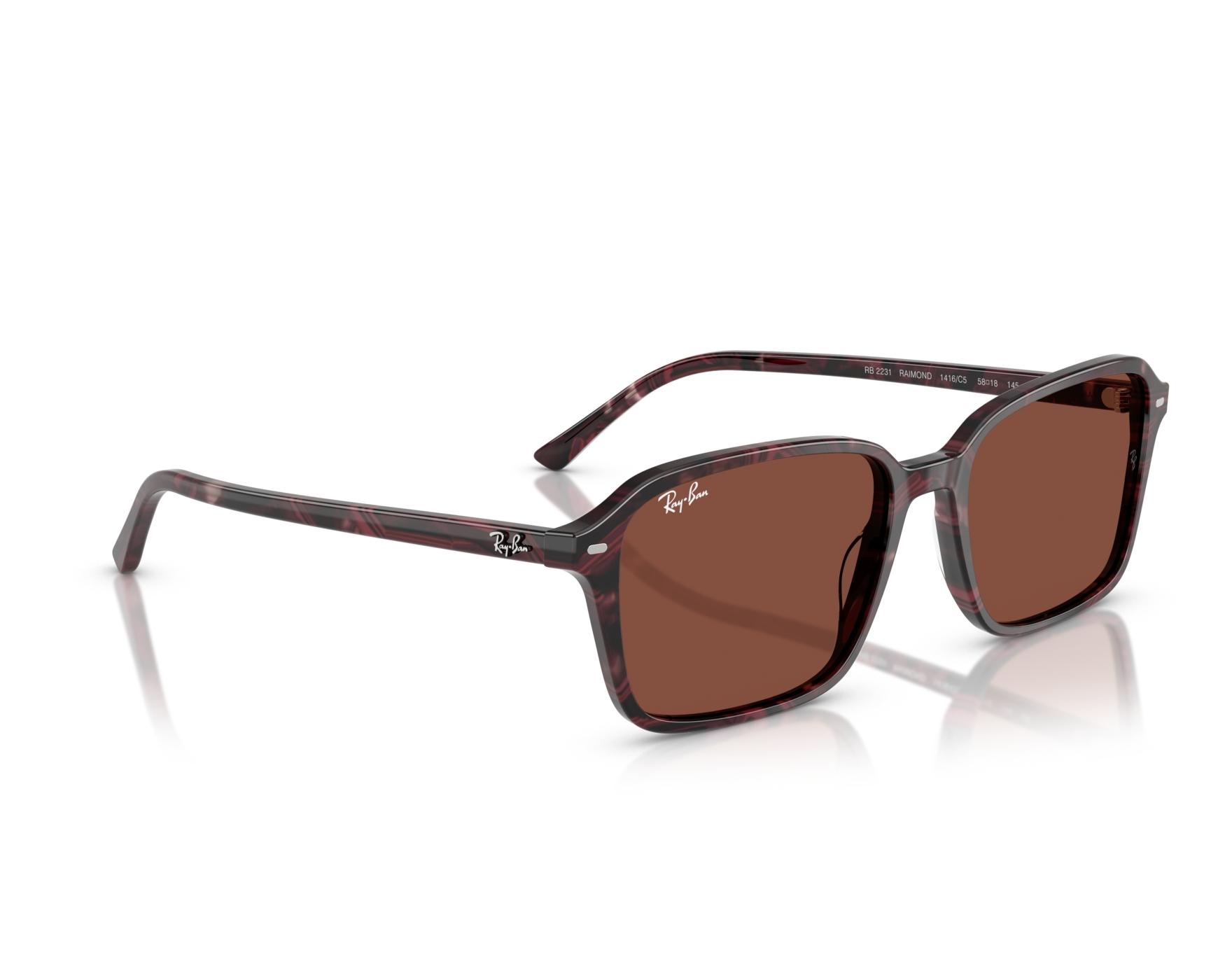 Ray-Ban Sunglasses Raimond RB2231 1416C5