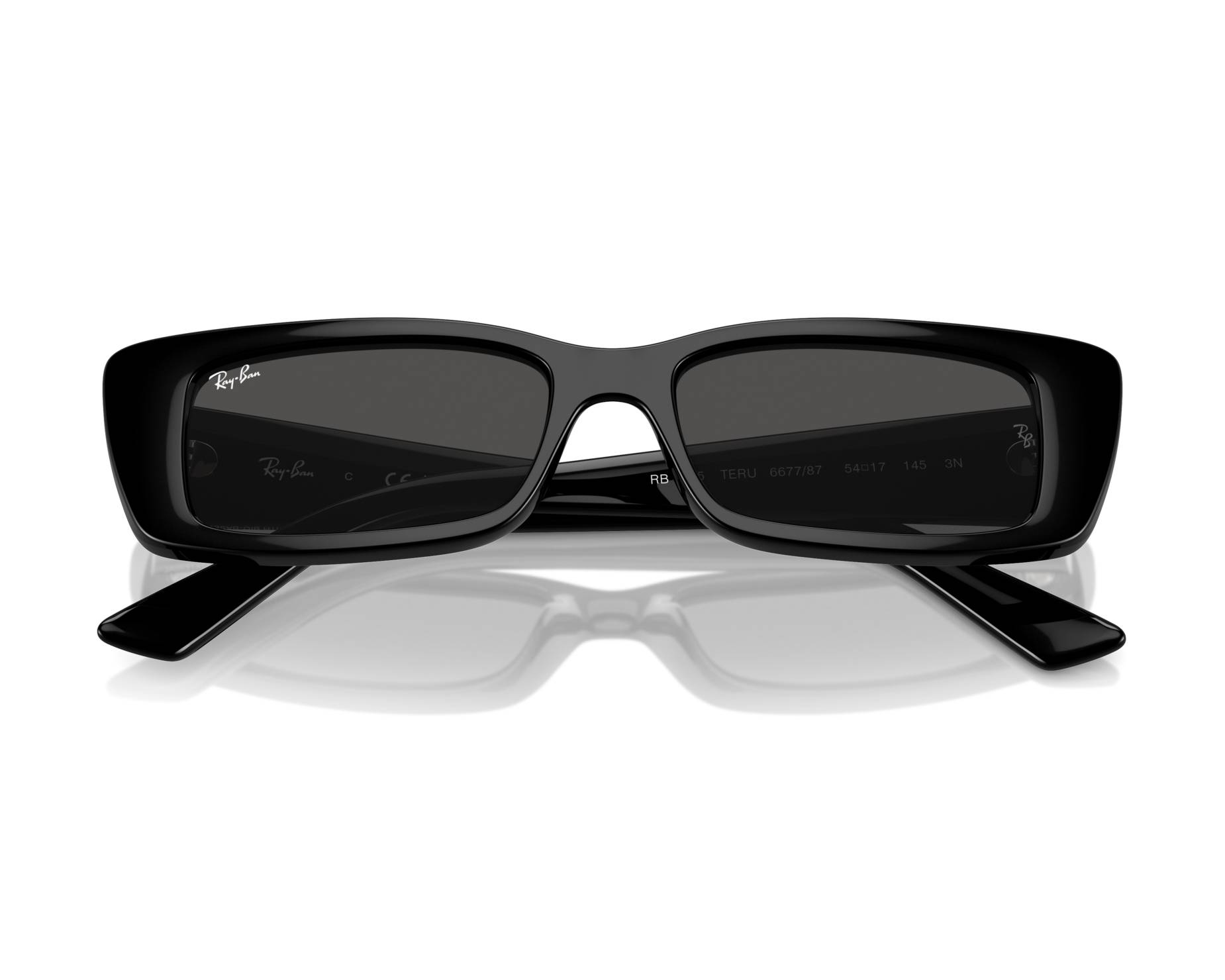 Ray-Ban Sunglasses Teru RB4425 667787