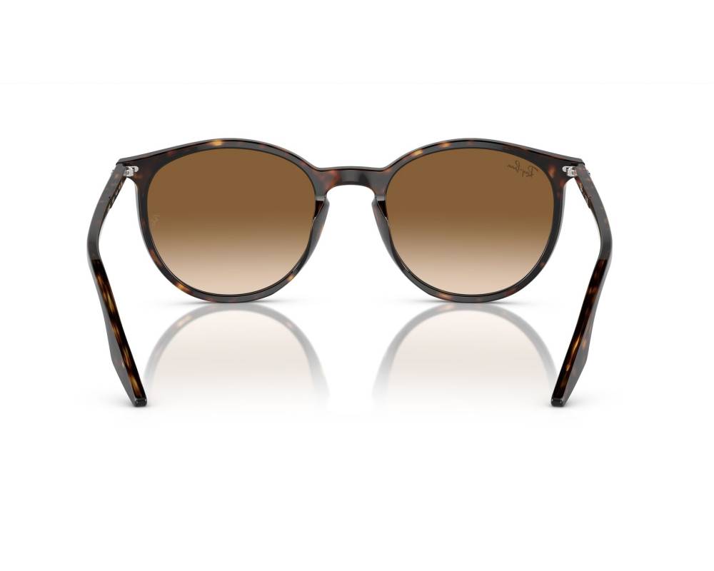 Ray-Ban Sunglasses RB2204 902/51