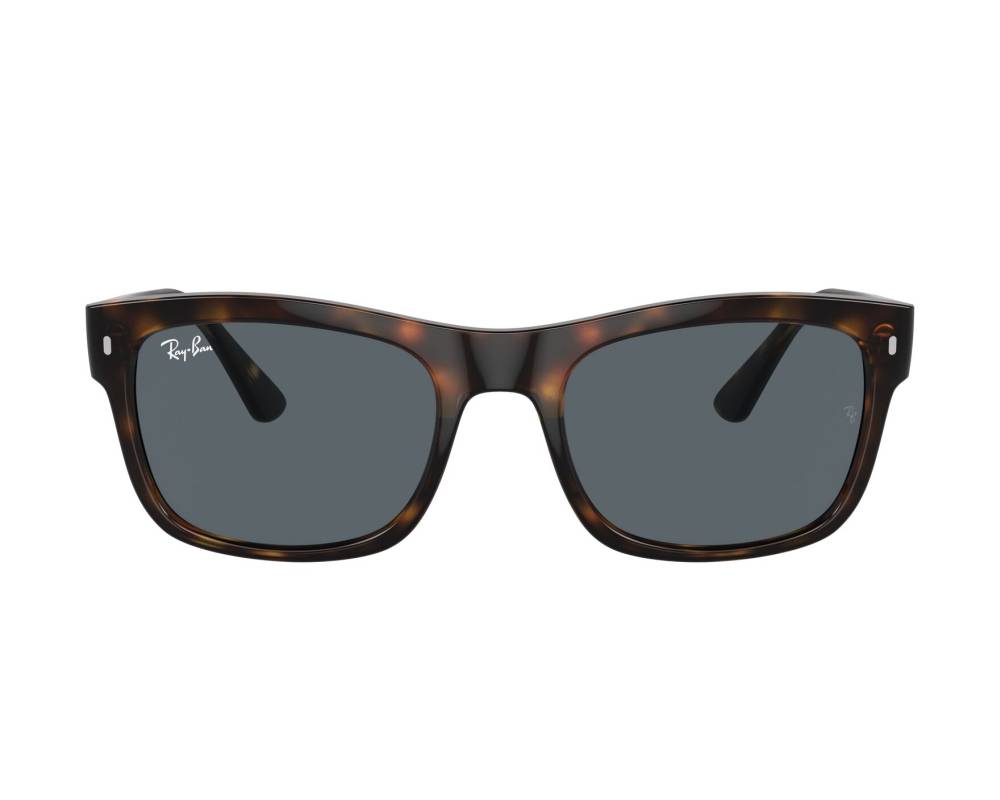 Ray-Ban Sunglasses RB4428 710/R5