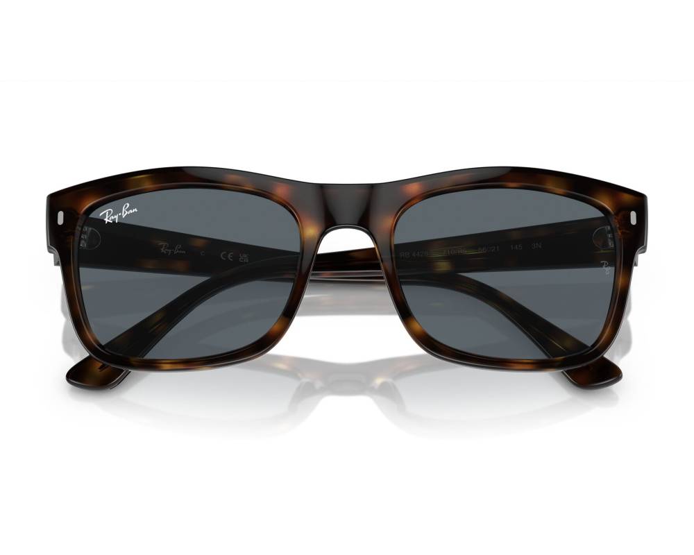 Ray-Ban Sunglasses RB4428 710/R5