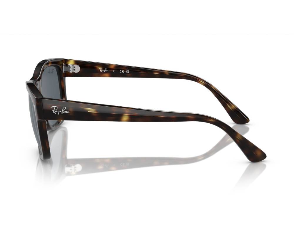 Ray-Ban Sunglasses RB4428 710/R5