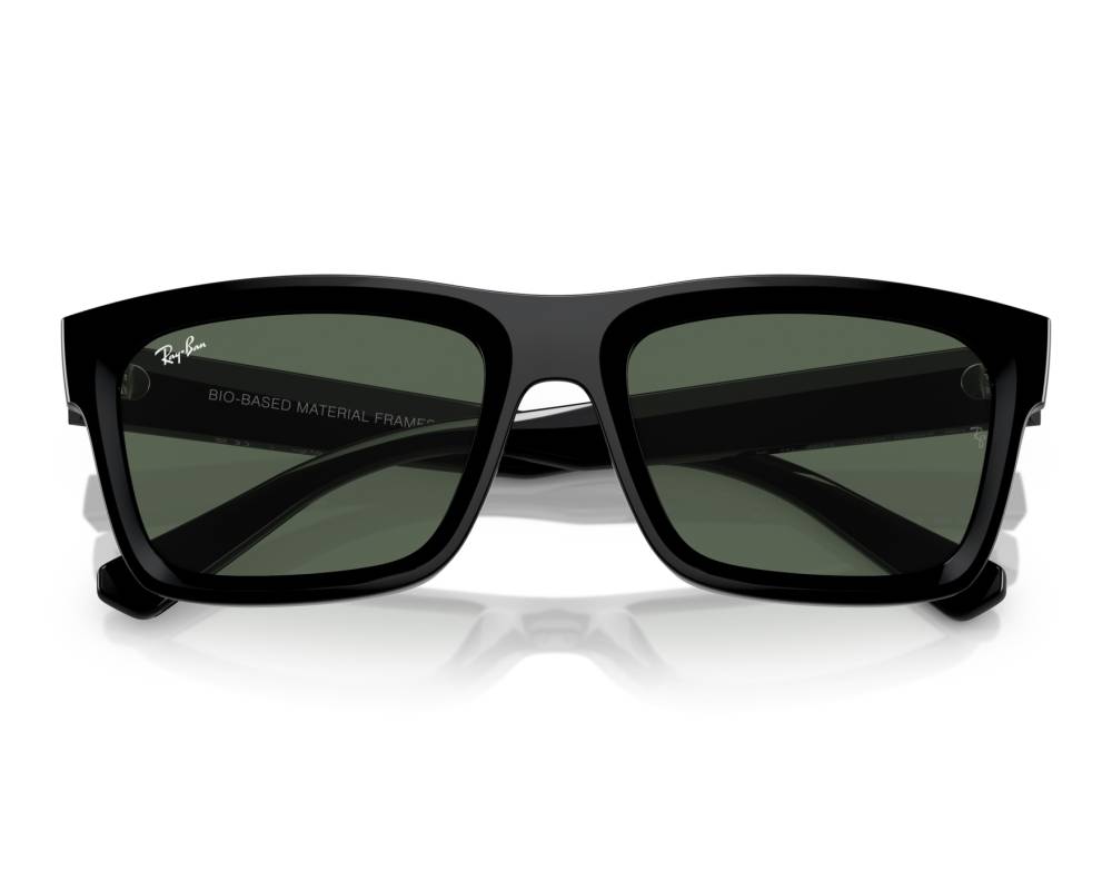 Ray-Ban Sunglasses Warren RB4396 667771